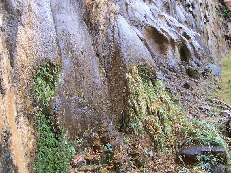 Zion National Park / 009 Weeping Rock.jpg